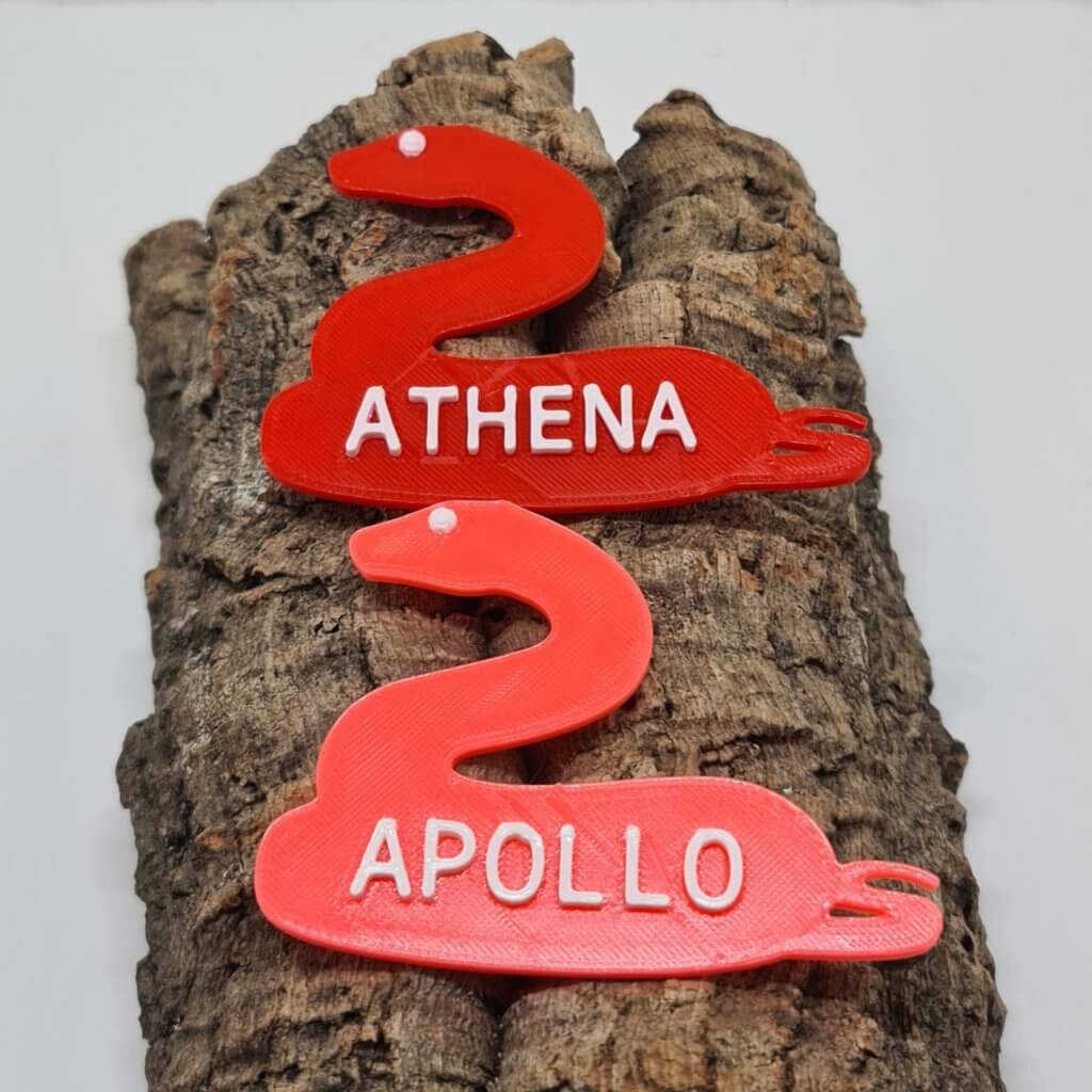 Personalised Axolotl Name Tag - 3D Name Tags