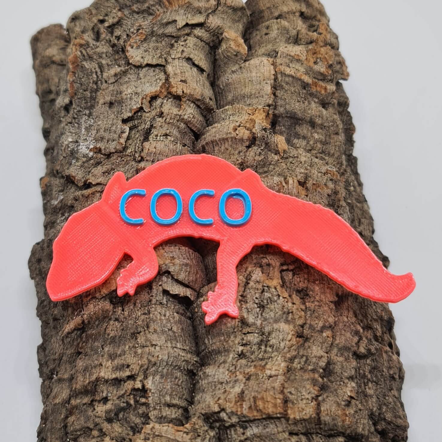 Personalised Leopard Gecko Name Tag - 3D Name Tags