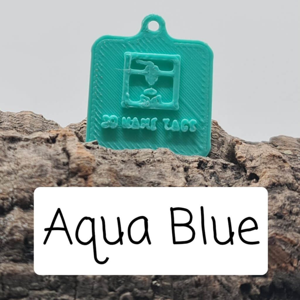 Personalised Axolotl Name Tag - 3D Name Tags