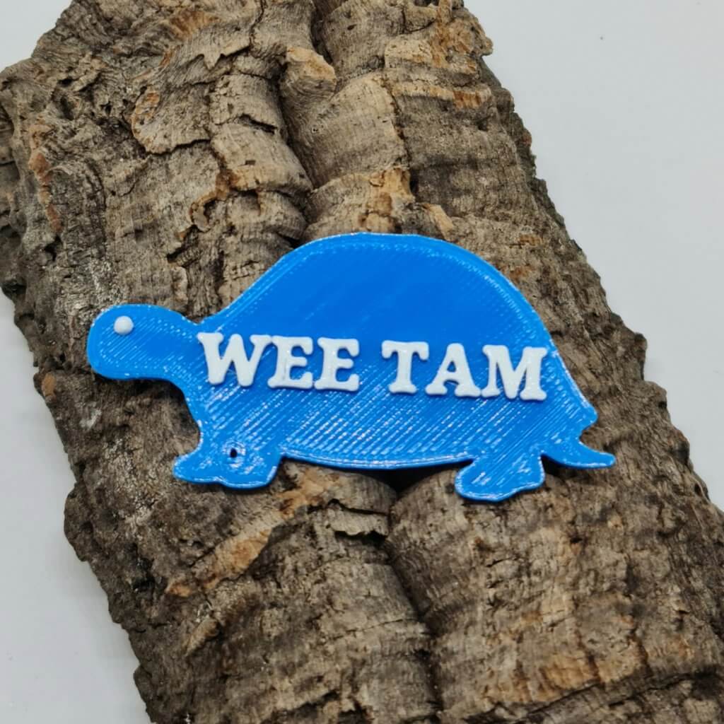 Personalised Tortoise Name Tag - 3D Name Tags